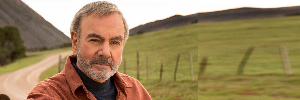 NEIL DIAMOND TOUR 2015 | 313 Presents